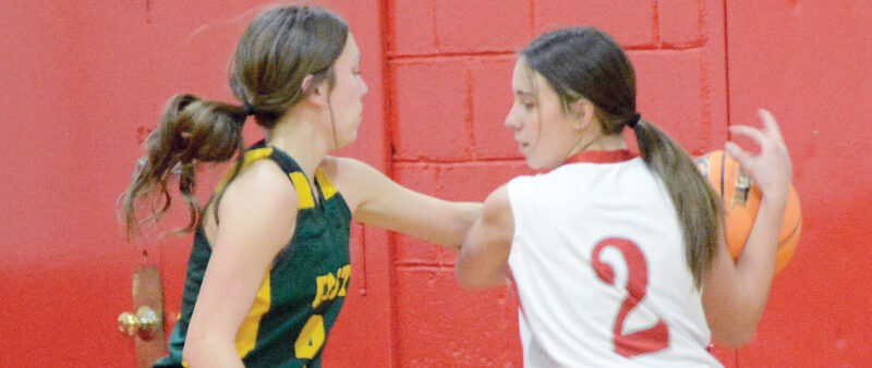 Defibaugh leading Lady Bulldogs on the court | News, Sports, Jobs - The ...